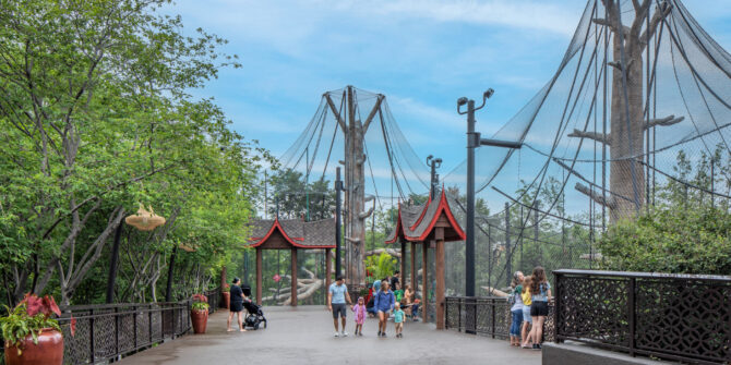 Omaha Henry Doorly Zoo Hubbard Orangutan Forest - Holland Basham Architects
